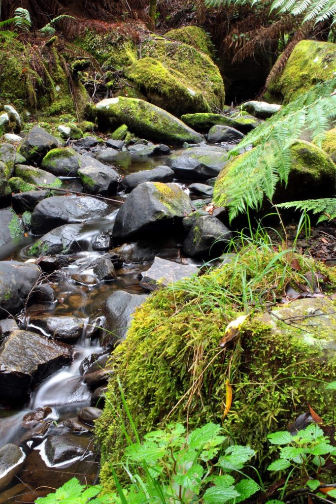 Aquatica Environmental | Water Quality Management